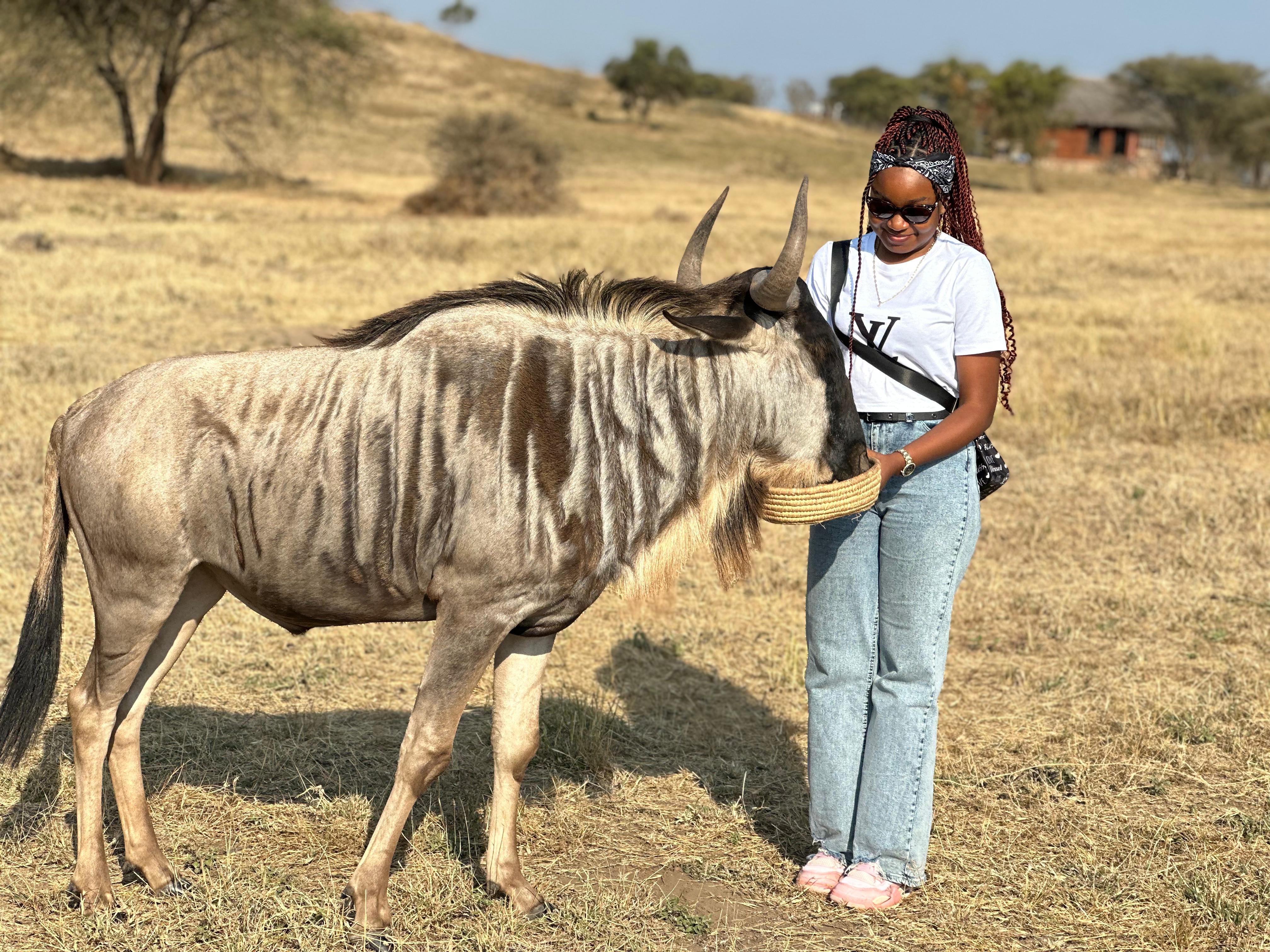 Agrotourisme – Agrotour International